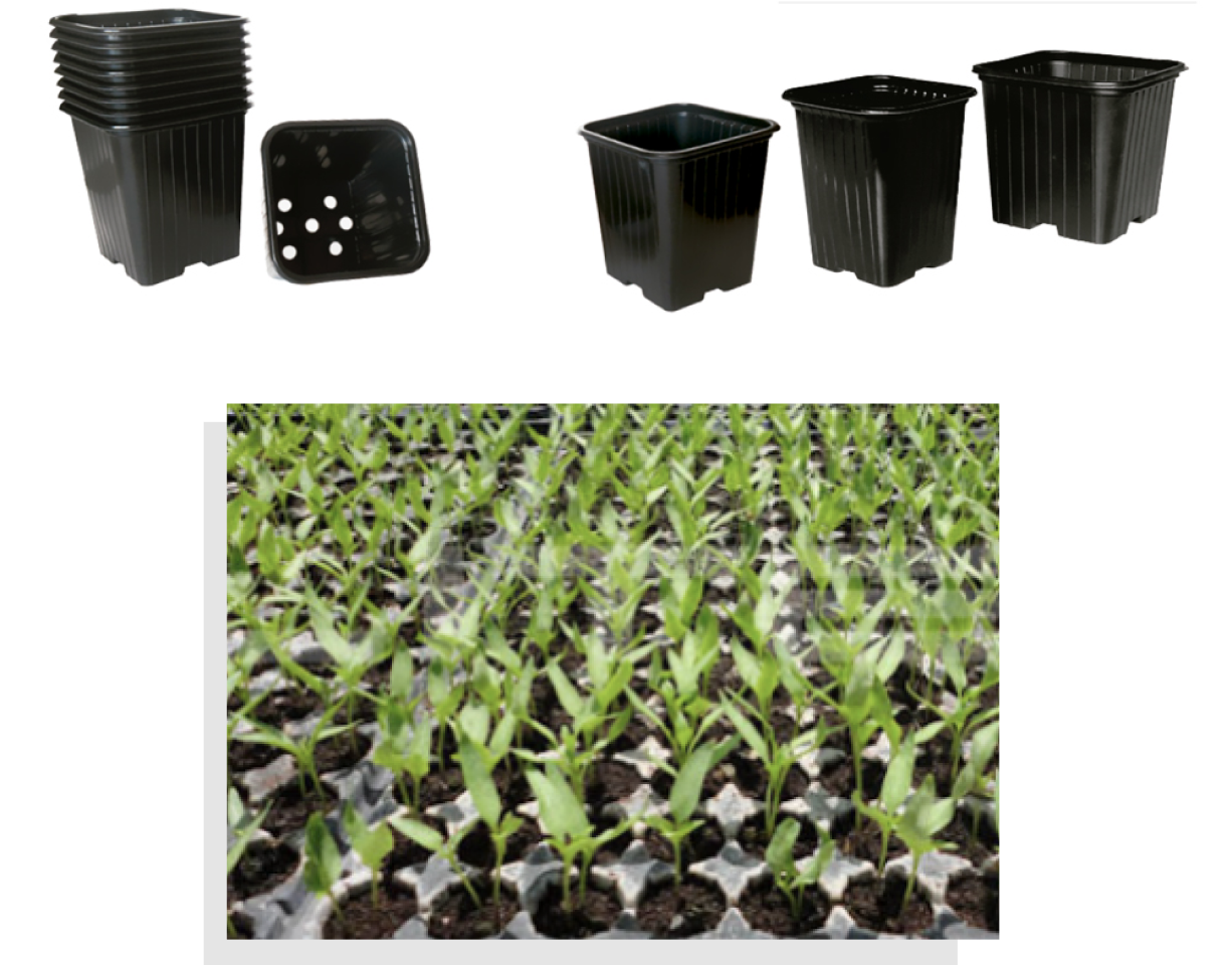 Termoconformados - Almaoc